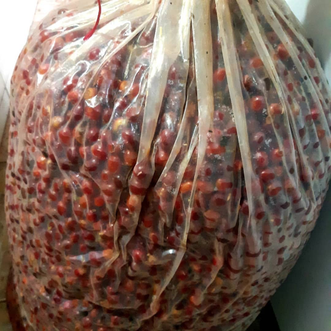 COLD FERMENTATION | Sabores - Flavours of Colombia